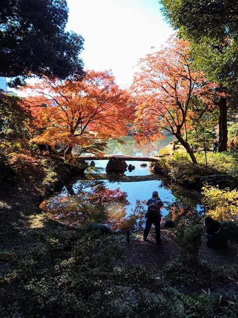 Tokyo: Temples and Rikugien Gardens Guided Walking Tour - Who Should Consider This Tour?