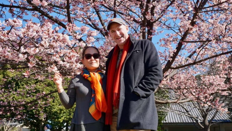 Tokyo: The Ultimate Self Guided Tour // Made by Local Guides - An In-Depth Look at the Tour