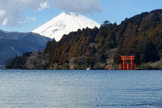 Tokyo to Hakone Customizable Private Tour - Pricing and Overall Value
