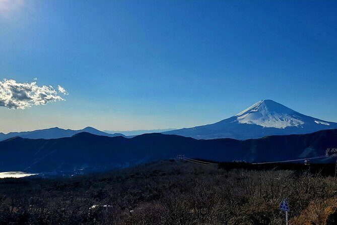 Tokyo to Hakone Customizable Private Tour - FAQs