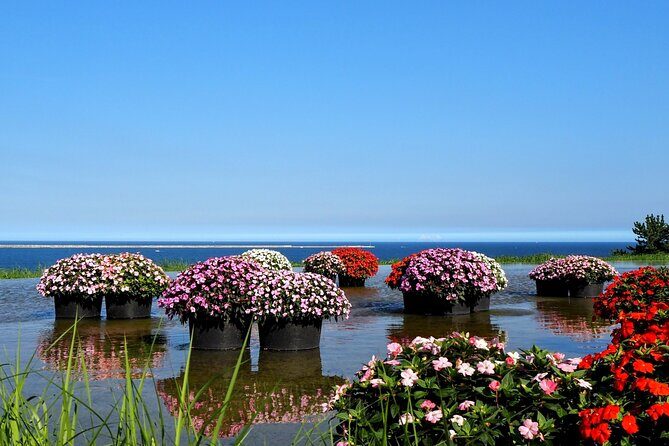 Tokyo to Hitachi Seaside Park Private Day Trip by Car - The Cost: Is It Worth It?