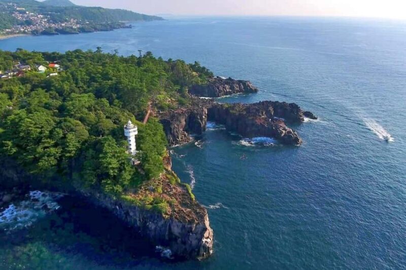 Tokyo to Izu: Kawazu Sakura Day Trip with Train & Pickup - A Day Trip Designed for Authenticity and Ease