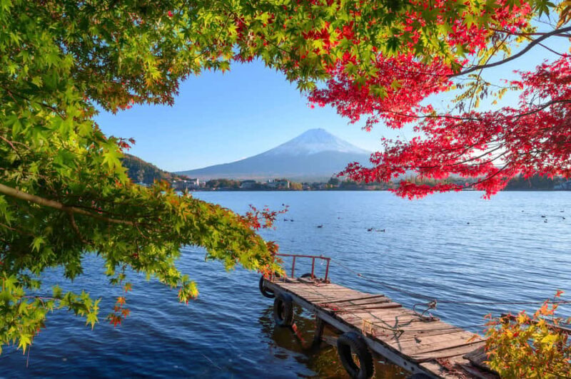 Tokyo to Mount Fuji A Full Day Private Tour From Tokyo - In-Depth Look at the Itinerary and What It Means for You