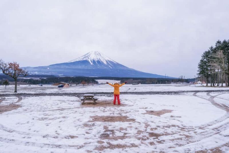 Tokyo to Mount Fuji A Full Day Private Tour From Tokyo - Practical Considerations and Value