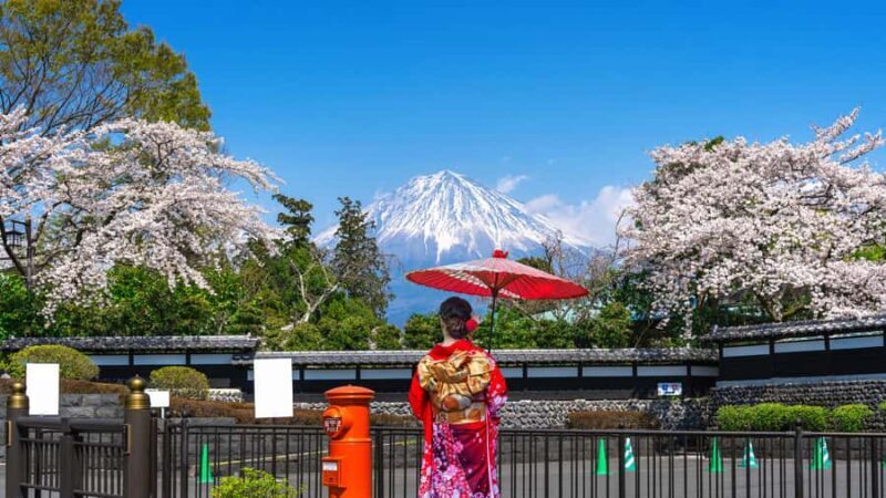 Tokyo to Mount Fuji A Full Day Private Tour From Tokyo - Who Is This Tour Best For?