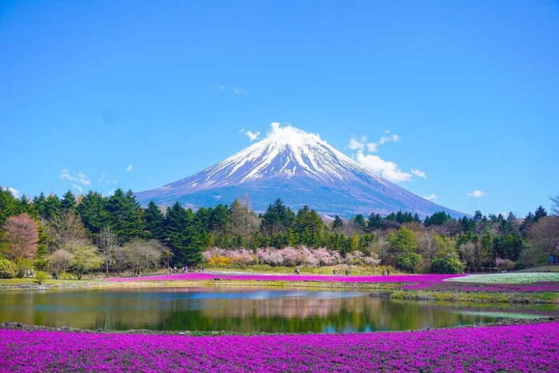 Tokyo To Mount FUJI Day Trip With English guide - Detailed Breakdown of the Itinerary
