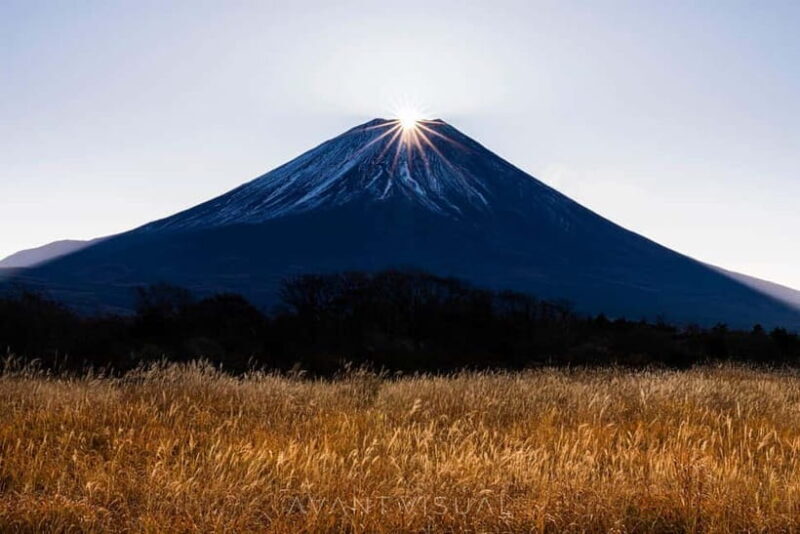 Tokyo To Mount FUJI Day Trip With English guide - Practical Considerations