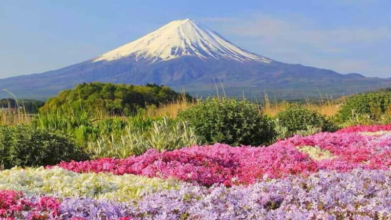 Tokyo To Mount FUJI Day Trip With English guide - Final Verdict