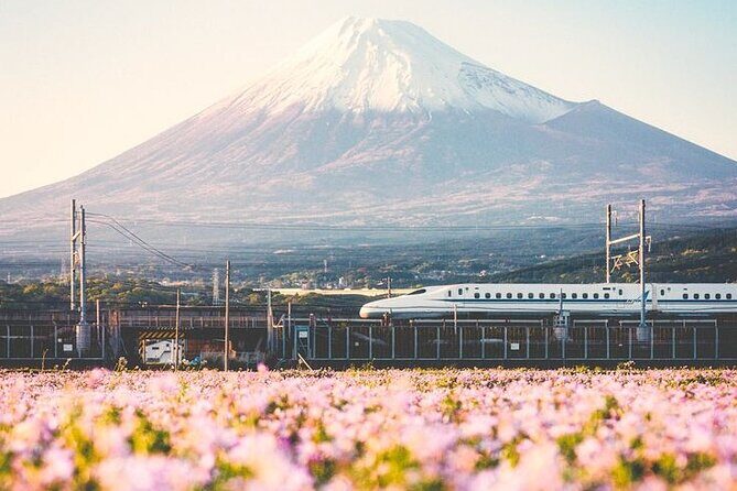Tokyo to Mount Fuji Private Guided Experiences - Key Points