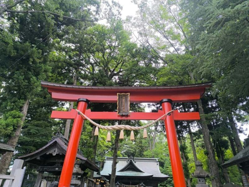 Tokyo To Mt.Fuji Day Trip With 6 Must-visit Scenic Spots - Authentic Experiences & Honest Insights