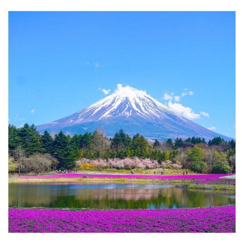 Tokyo to Mt. Fuji & Hakone: Private Customizable Day Trip - Final Thoughts: Is This Tour for You?