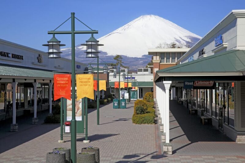 Tokyo to Mt Fuji private Tour - Authentic Insights from Reviews
