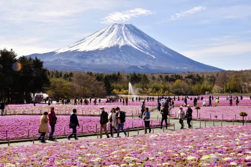 Tokyo to Mt Fuji private Tour - The Sum Up