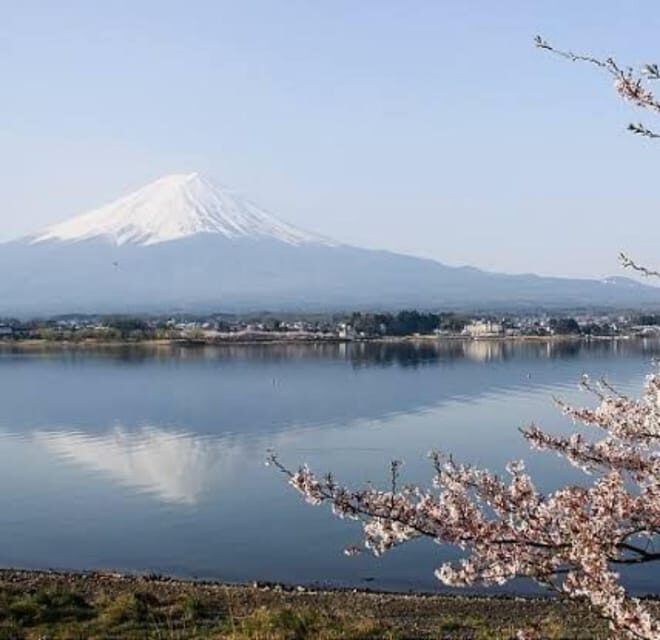 Tokyo to Mt Fuji private Tour - FAQ