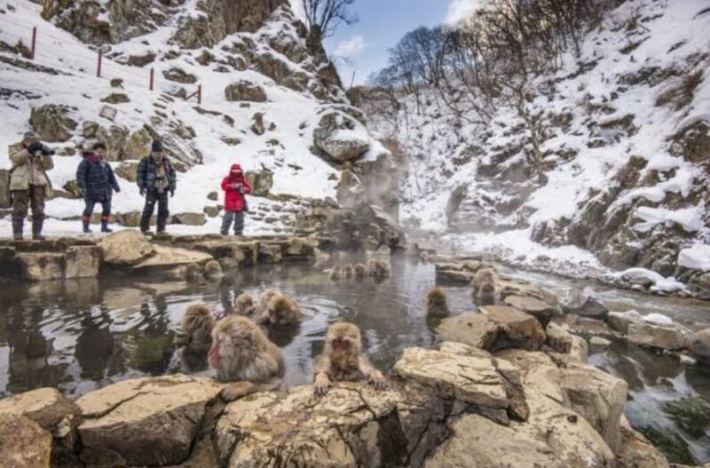 Tokyo To Nagano (Snow Monkey Zenkoji Temple Private Tour) - A Detailed Look at the Tour Experience