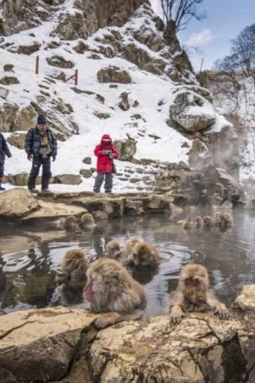 Tokyo To Nagano (Snow Monkey Zenkoji Temple Private Tour) - FAQ