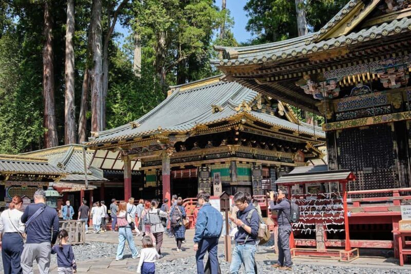 Tokyo to Nikko: Day Trip Custom Day Tour - An In-Depth Look at the Experience