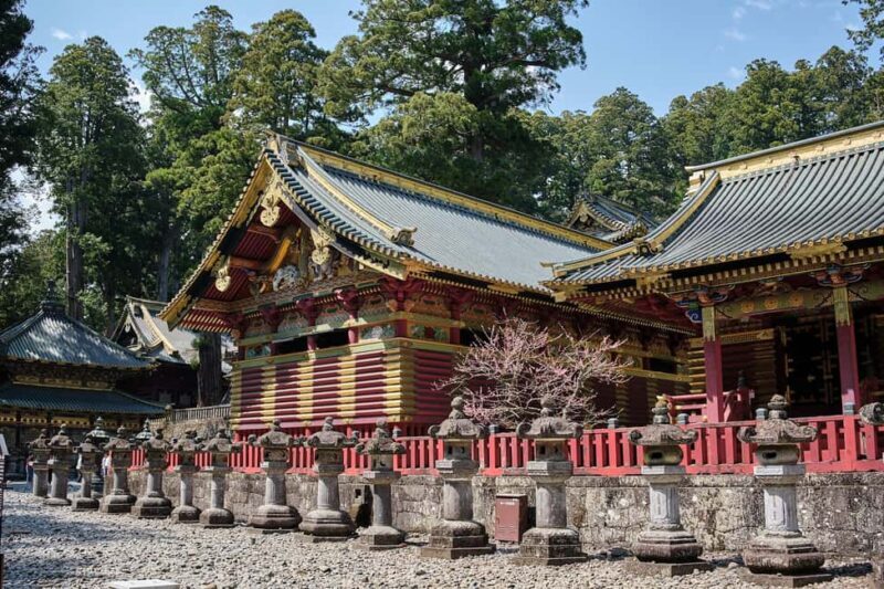 Tokyo to Nikko: Day Trip Custom Day Tour - Final Thoughts