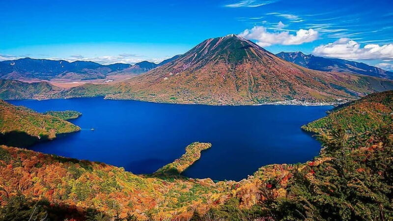 Tokyo to Nikko Private Day Tour with English-Speaking Driver - What Real Travelers Say