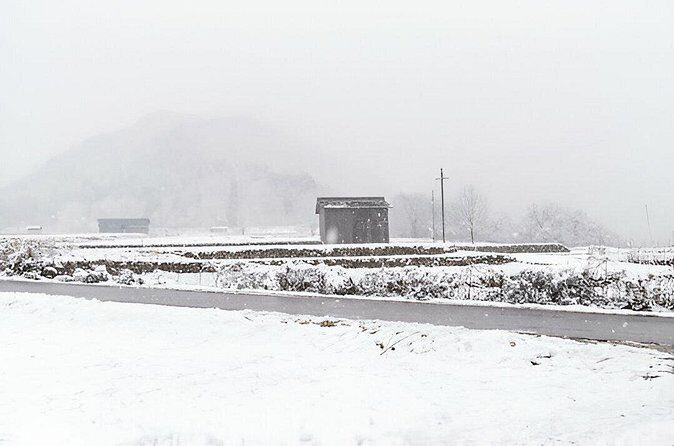 Tokyo To Shirakawa Go Private Luxury Car Transfer - Whats Included and What’s Not