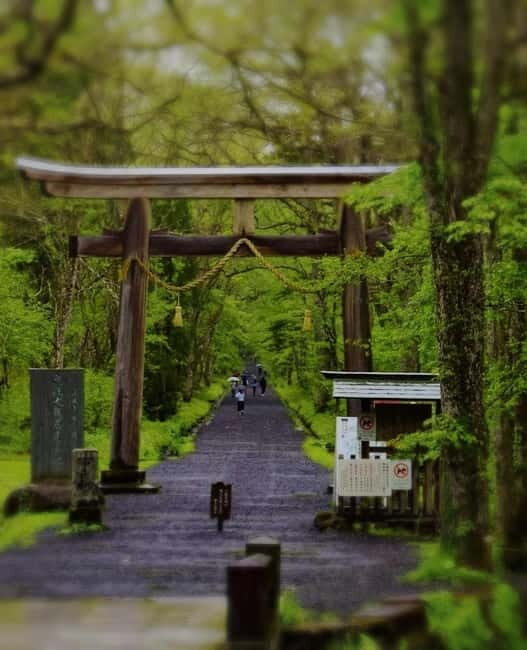 Tokyo: Togakushi Sacred Trail Day Tour with Shinkansen - Seamless Return and Overall Value