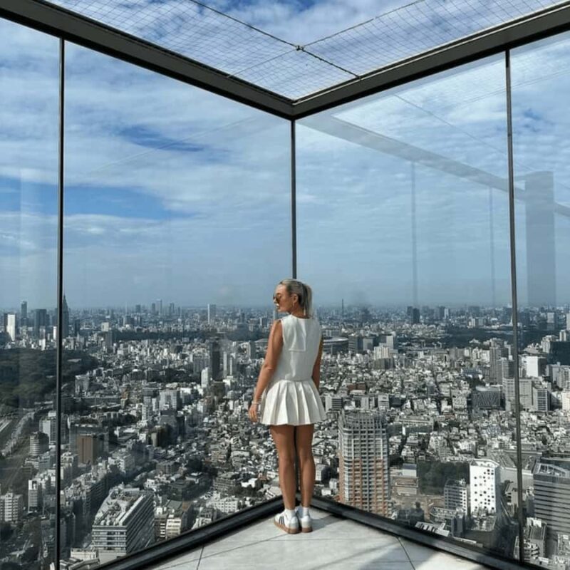 Tokyo: Tokyo City Private Tour with English Speaking Driver - Who Would Enjoy This Tour?