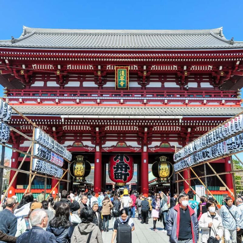 Tokyo: Tokyo Full Day Private Customized Tour - Who Should Consider This Tour?