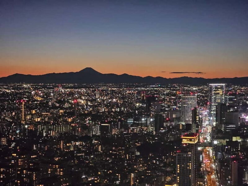 Tokyo: Tokyo Highlights Day Tour with Private Hotel Pickup - Final Thoughts