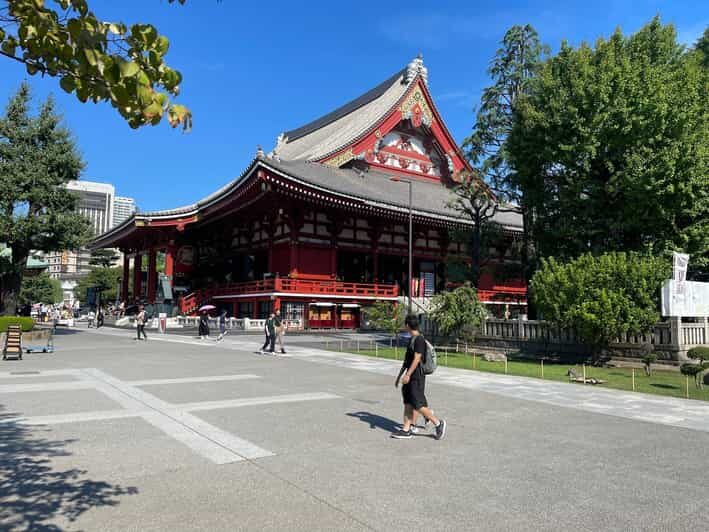 Tokyo: Tokyo Private Customize Day Tour With English Driver - The Logistics and Cost-Effectiveness