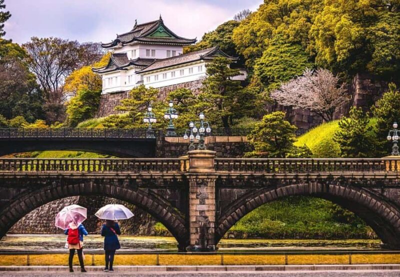 Tokyo: Tokyo Private Day Tour with English Speaking Guide - Practical Details and Considerations