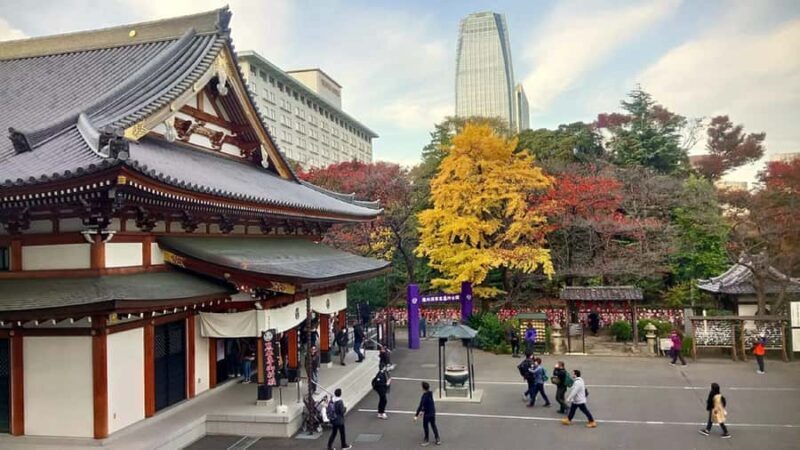 Tokyo: Tokyo Tower, Shiba Park, Zojoji Temple Walking Tour - What Makes This Tour Worth Considering?