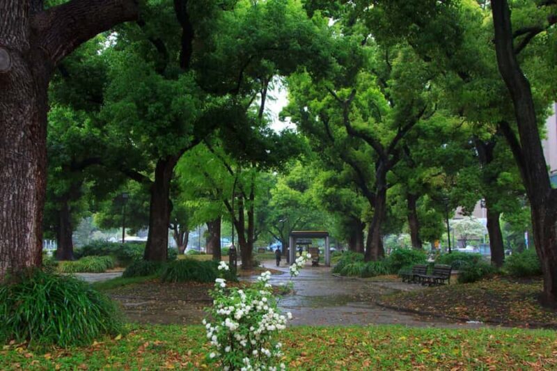 Tokyo: Tokyo Tower, Shiba Park, Zojoji Temple Walking Tour - Final Thoughts