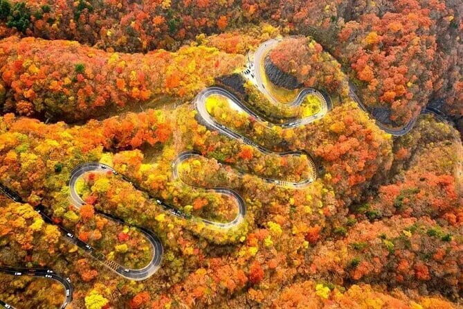 Tokyo: Toshogu Shrine (Nikko Toshogu), Lake Chuzenji, Kegon Falls - Who Should Consider This Tour?