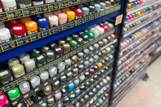 Tokyo: Tour around 10 charms to know Akihabara! - Key Points