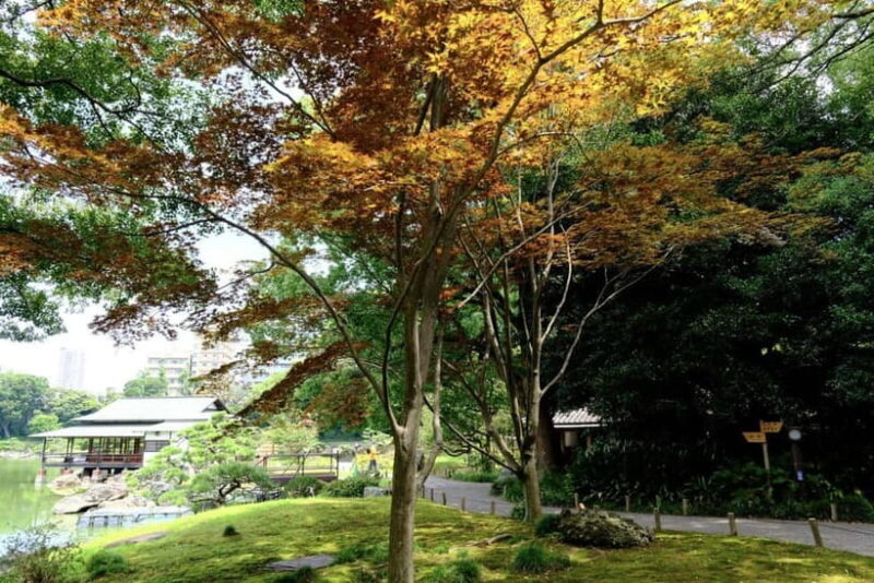 Tokyo Tour: Imperial Palace, Sake, Robots, Gardens & Museum - An Introduction to the Experience