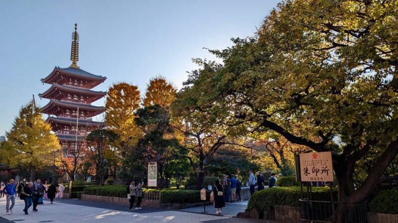 Tokyo: Tour Privado por Tokio en español - Authentic Experiences & Authenticity