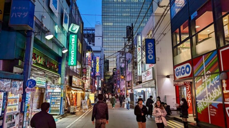 Tokyo: Tour Privado por Tokio en español - FAQs about the Tokyo Private Guided Tour