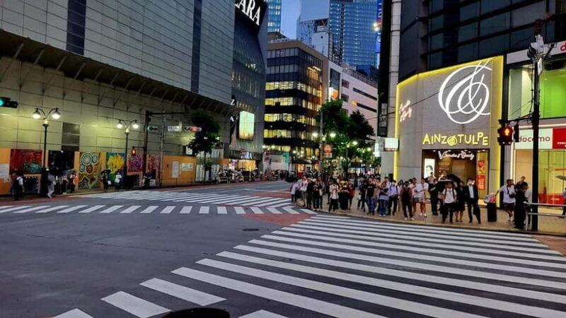 Tokyo Tour: Senso-ji, Meiji Shrine, Shibuya & Skytree Visit - The Sum Up: Is This Tour Right for You?