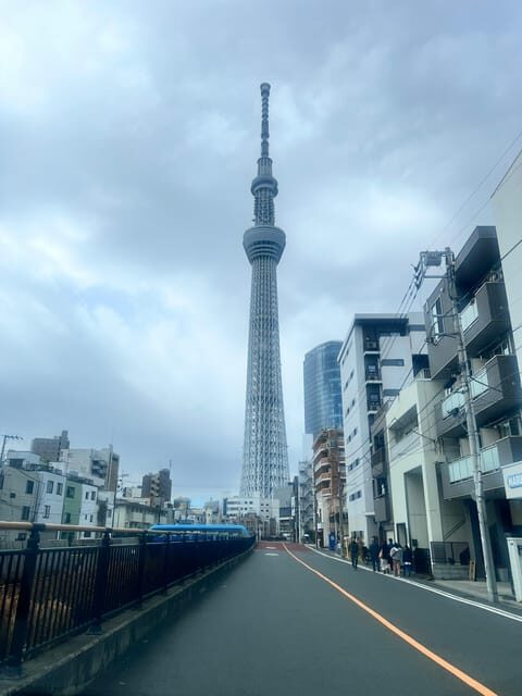 Tokyo Tour with Private Vehicle and English Speaking Guide - Key Points