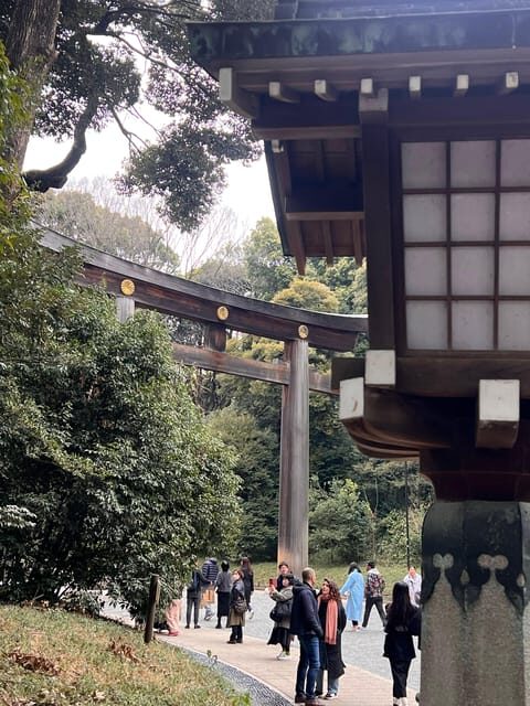 Tokyo Tour with Private Vehicle and English Speaking Guide - A Deep Dive into the Experience: What You Can Expect