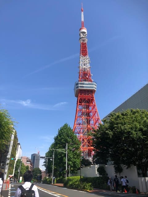 Tokyo Tours in Spanish (Tsukiji Market-Ginza-Tokyo Tower) - Key Points