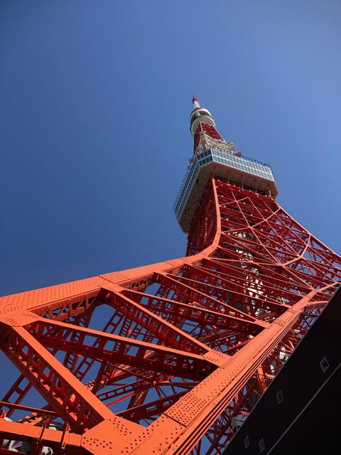 Tokyo Tours in Spanish (Tsukiji Market-Ginza-Tokyo Tower) - Final Thoughts