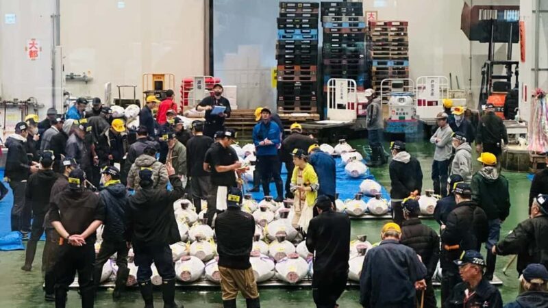 Tokyo: Toyosu Tuna Auction &Tsukiji Market Gourmet Adventure - Review Highlights & Traveler Feedback