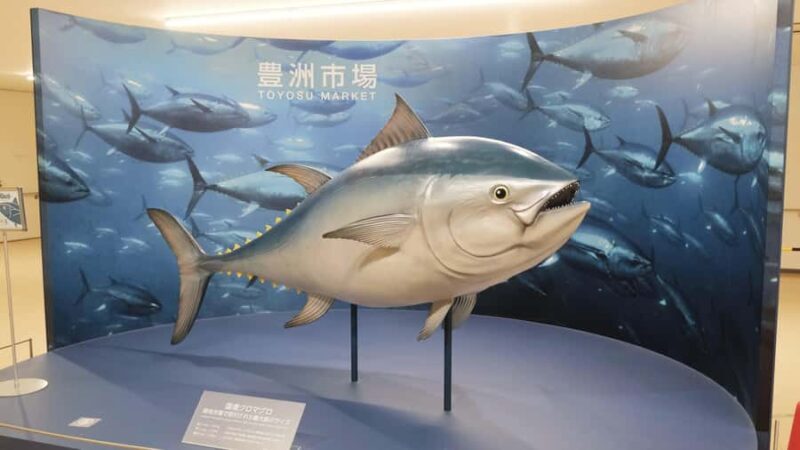 Tokyo: Toyosu Tuna Auction & Tsukiji Market Gourmet Tour - Key Points