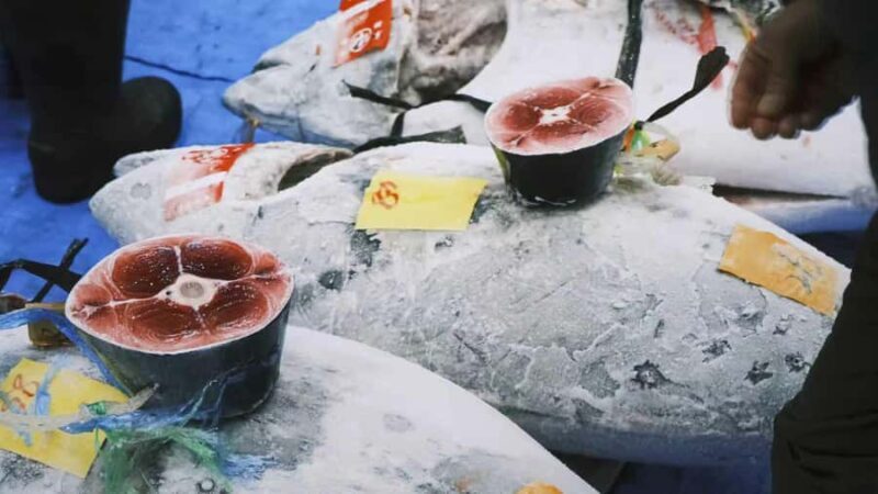 Tokyo: Toyosu Tuna Auction & Tsukiji Market Gourmet Tour - An In-Depth Look at the Experience