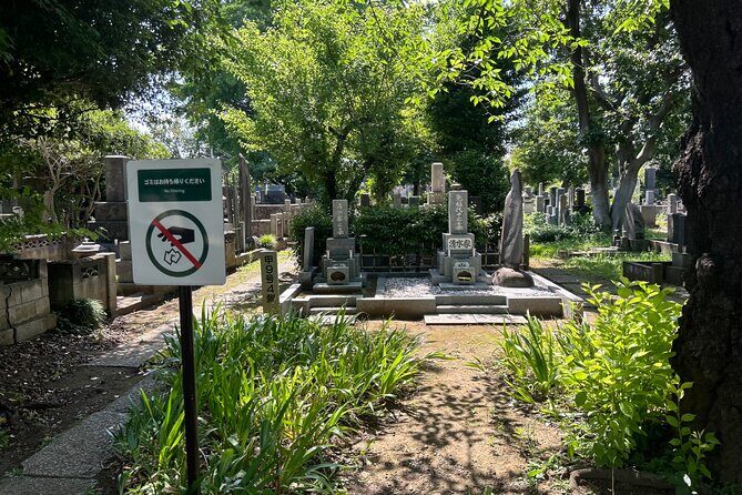 Tokyo: Traditional Backstreets Yanaka Walking Tour - Practical Details and Value