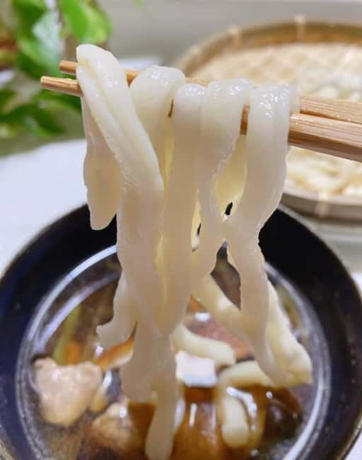 Tokyo: Traditional foot-kneaded Udon noodles class - Final Perspectives: Is This Tour Right for You?