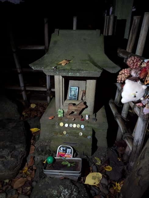 Tokyo: True Crime And Ghost Stories Tour - Exploring the Dark Side of Tokyo: A Full Review