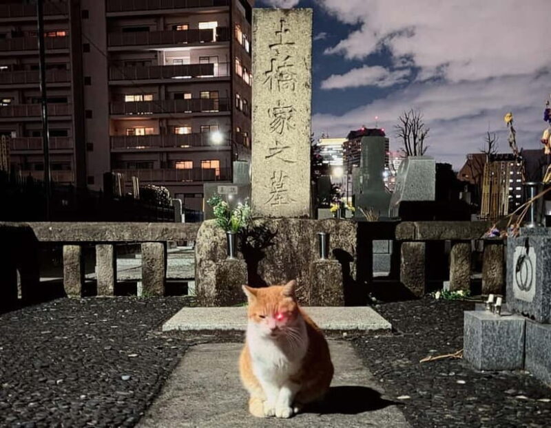 Tokyo: True Crime And Ghost Stories Tour - Final Words