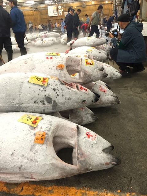Tokyo: Tsukiji Fish Market Foodie and Educational Tour - The Sum Up